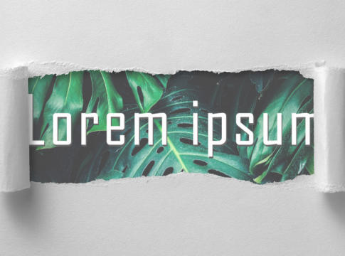 InDesign-vejledninger | onlineprinters.dk Blog